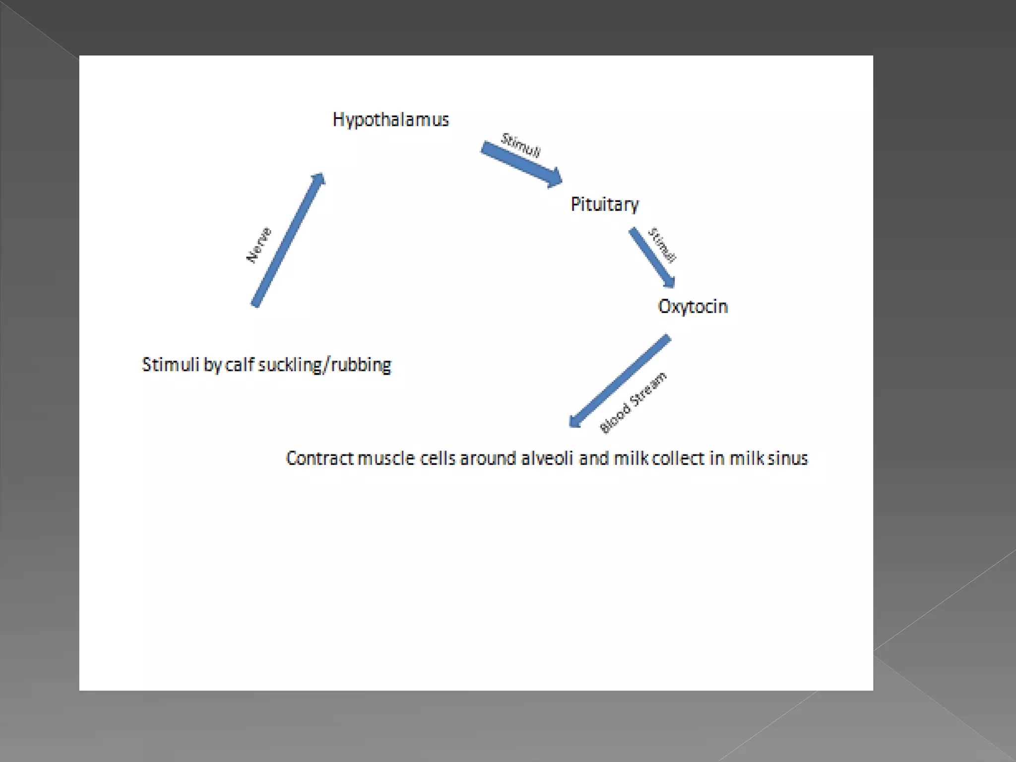 Mammary system, Milk Synthesis, Milk Let-down & Milking | PPTX