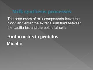 Mammary system, Milk Synthesis, Milk Let-down & Milking | PPTX
