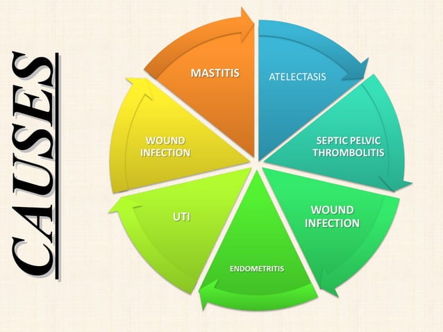 Puerperal Pyrexia | PPT | Pregnancy | Reproductive Health