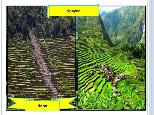 Hagdang hagdang palayan | PPTX