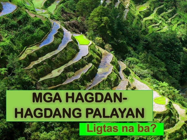 Hagdang hagdang palayan | PPTX