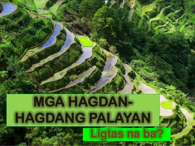 Hagdang hagdang palayan
