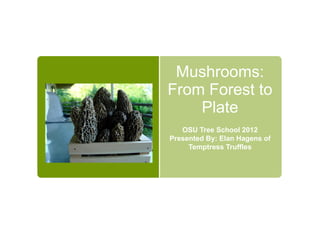 Pacific Northwest Mushrooms Education Powerpoint | PDF