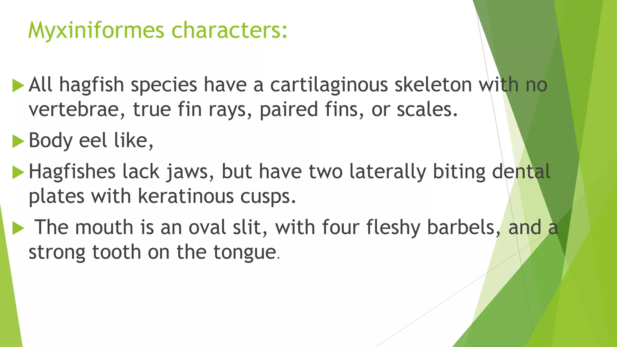 HAGFISH AND ITS ECONOMIC IMPORTANCE | PPTX