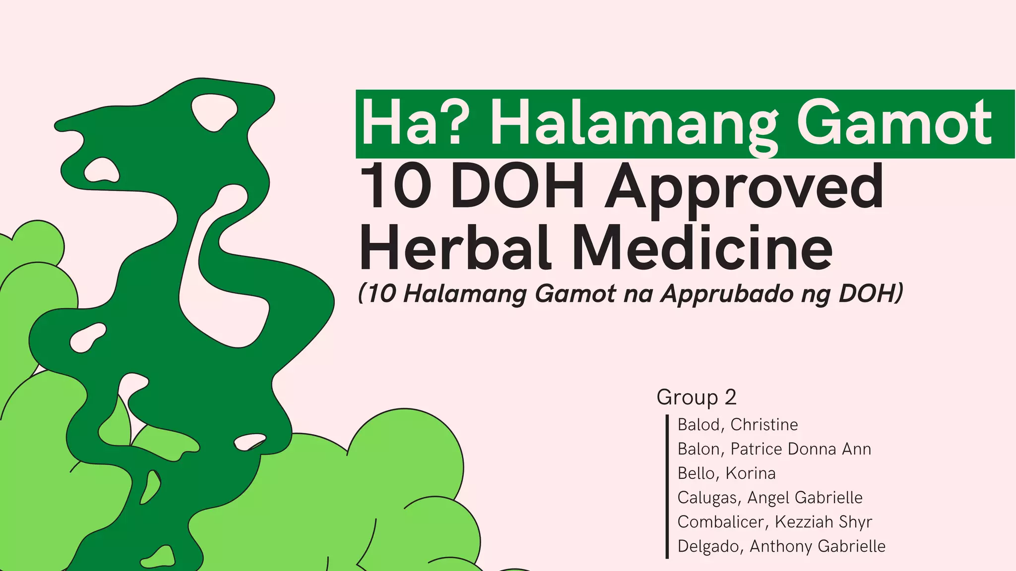 10 Halamang Gamot ng DOH | PDF