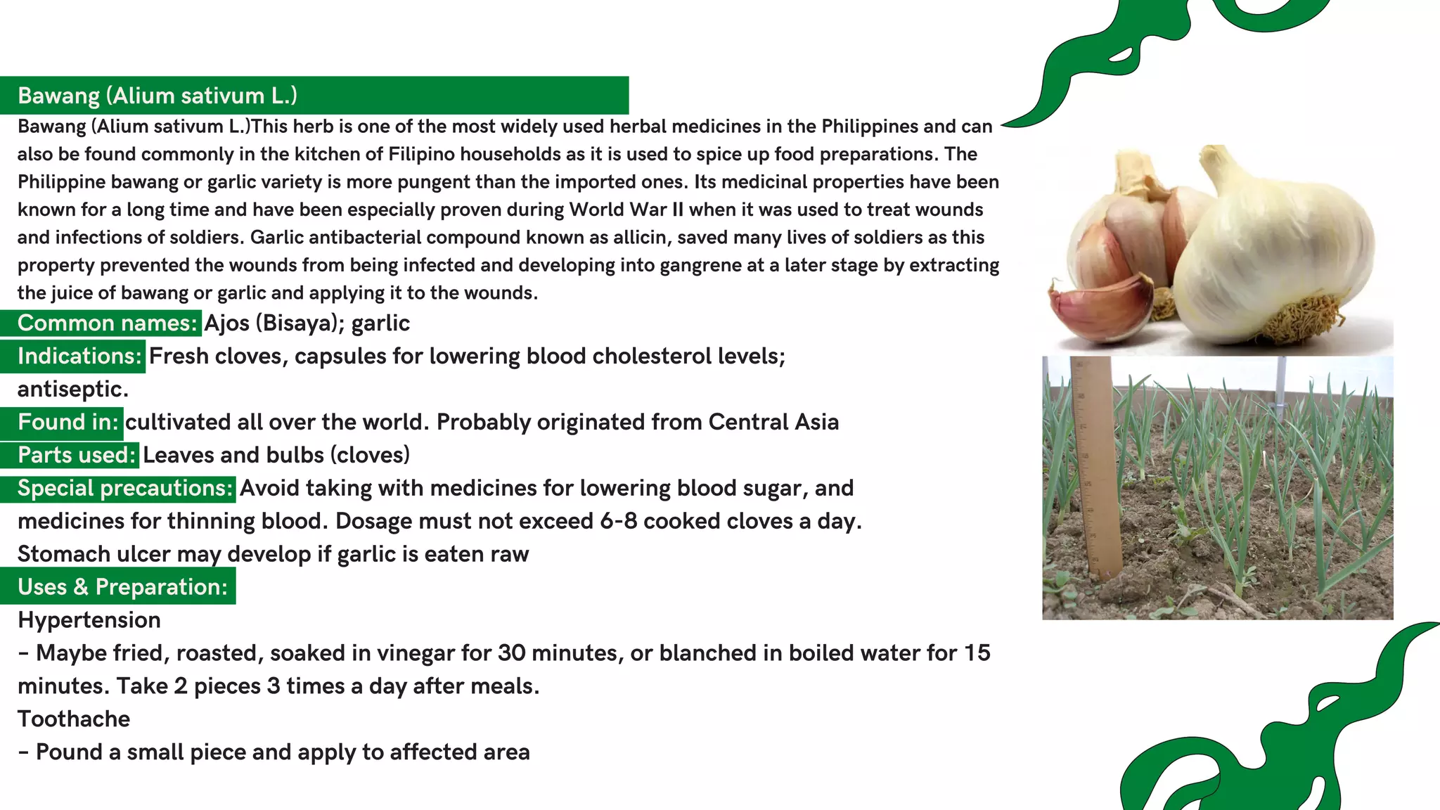 10 Halamang Gamot ng DOH | PDF