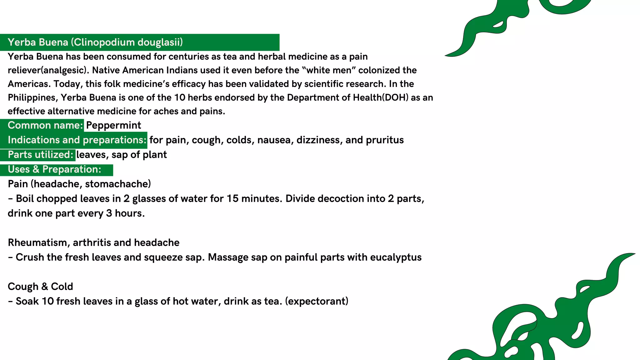 10 Halamang Gamot ng DOH | PDF