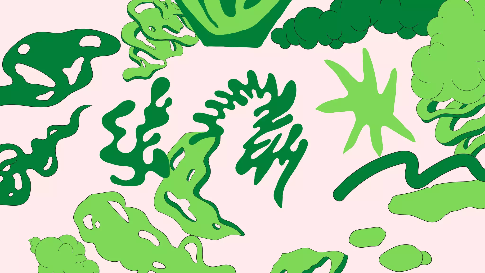 10 Halamang Gamot ng DOH | PDF