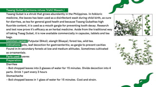 10 Halamang Gamot ng DOH | PDF