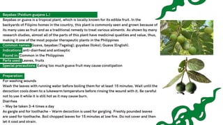 10 Halamang Gamot ng DOH | PDF