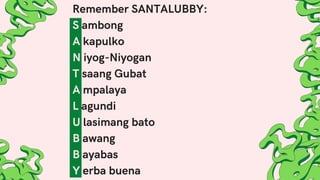 10 Halamang Gamot ng DOH | PDF