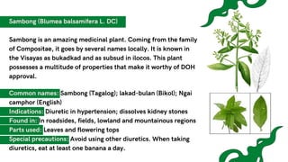 10 Halamang Gamot ng DOH | PDF