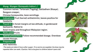 10 Halamang Gamot ng DOH | PDF