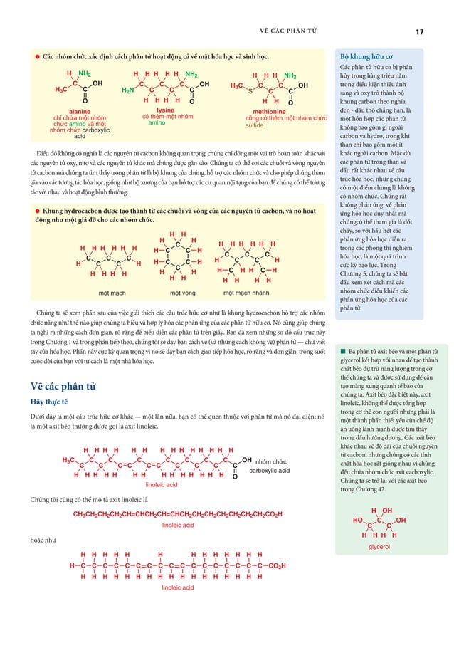 Hóa học hữu cơ. Được dịch từ cuốn Organic Chemistry by Jonathan Clayden ...