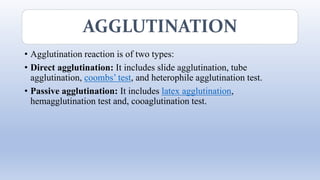 HA&HI is the agglutination reaction in immunology | PPTX