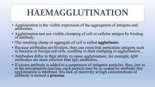 HA&HI is the agglutination reaction in immunology | PPTX