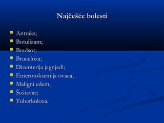 Bakterijske bolesti preživara | PPT