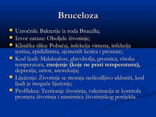 Bakterijske bolesti preživara | PPT