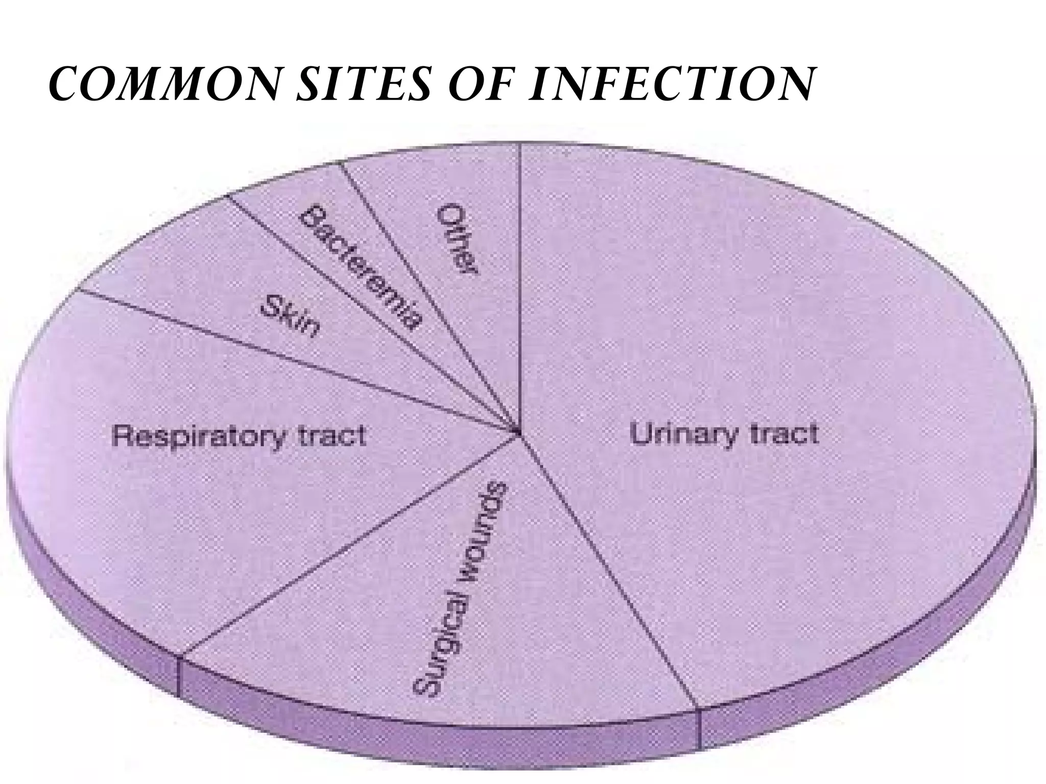 HEALTH CARE ASSOCIATED INFECTION | PPT