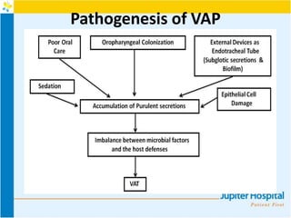 HAI Bundle Care.pptx