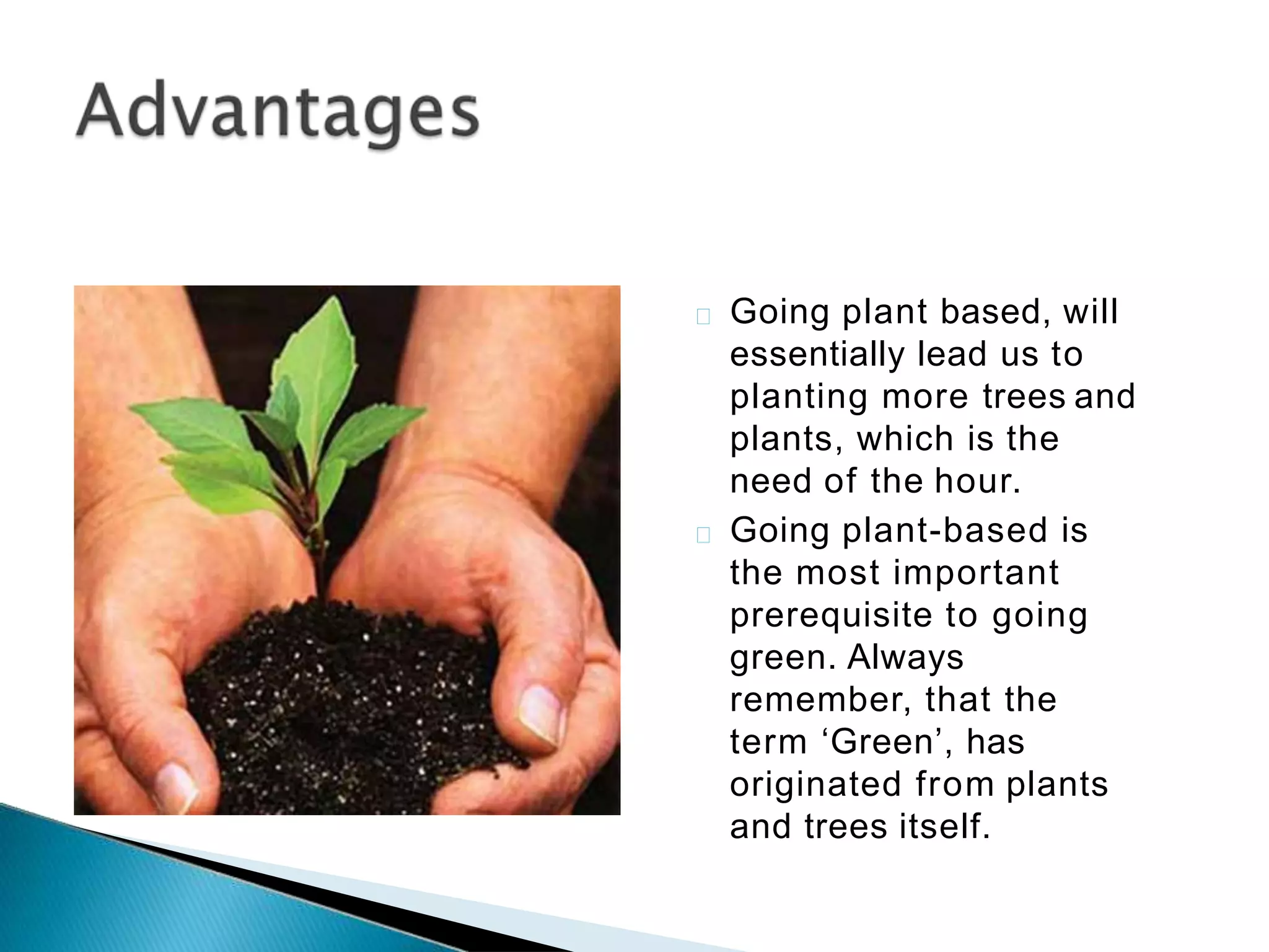 TREE PLANTATION | PPTX