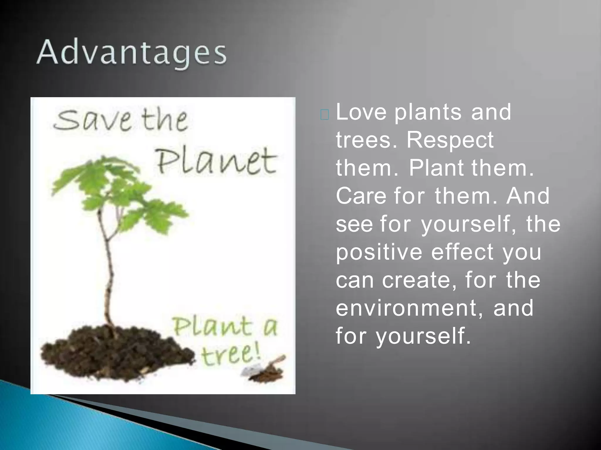 TREE PLANTATION | PPTX