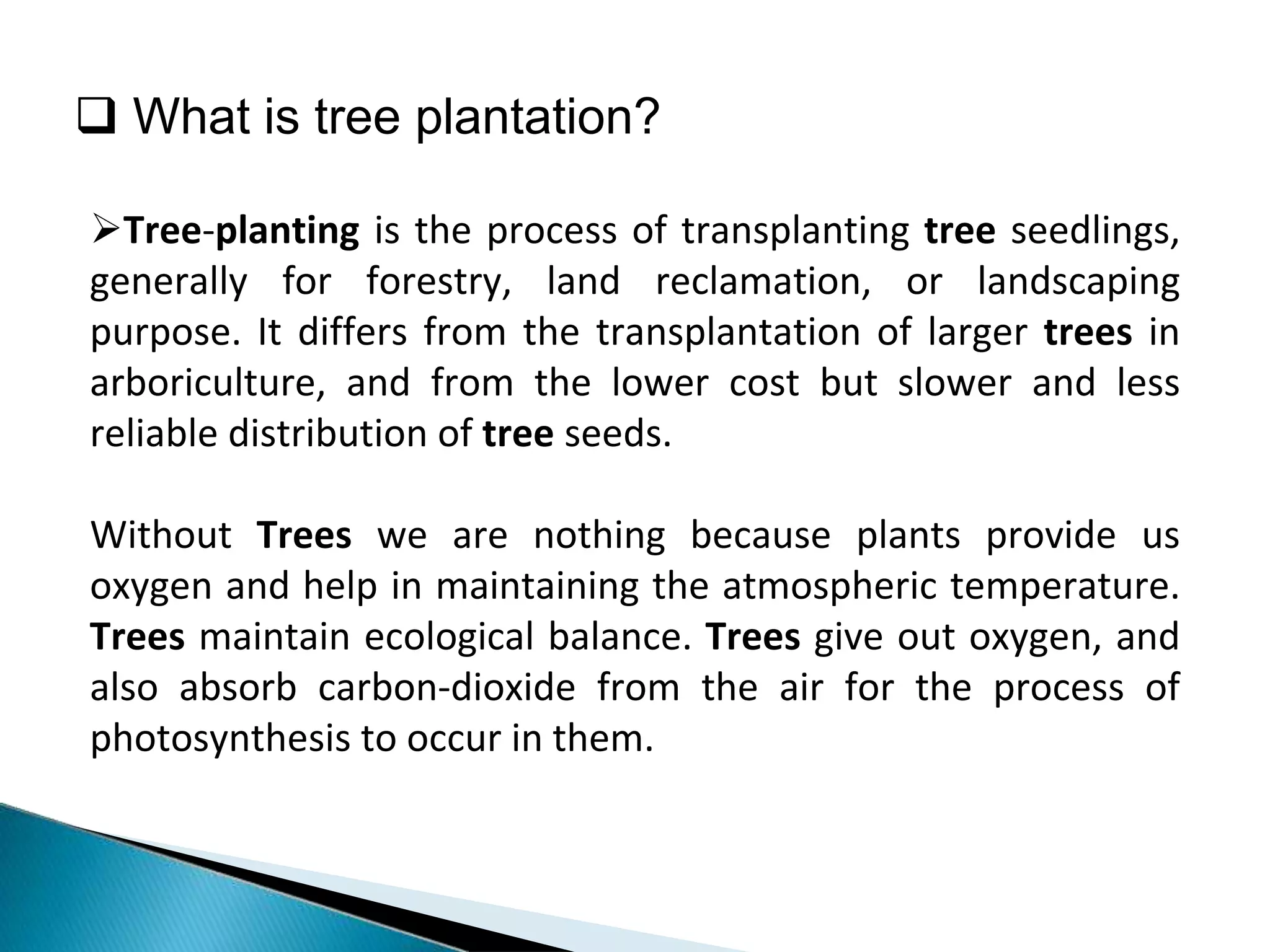 TREE PLANTATION | PPTX