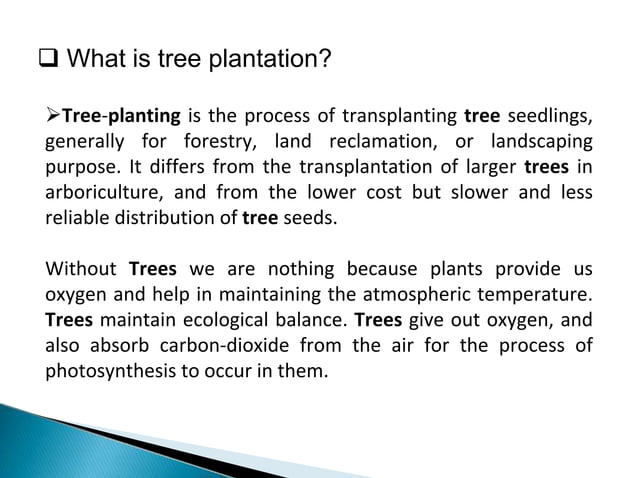 TREE PLANTATION | PPTX | Woodworking | Arts and Crafts