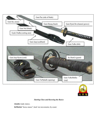 Haidong gumdo-gup-manual | PDF