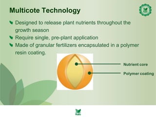 Haifa Controlled Release Fertilizers | PDF
