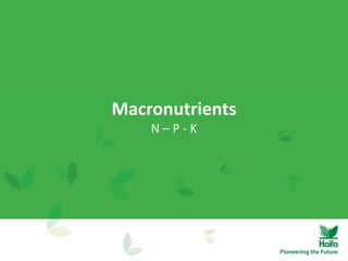 An introduction to professional plant nutrition | Haifa Group | PPTX