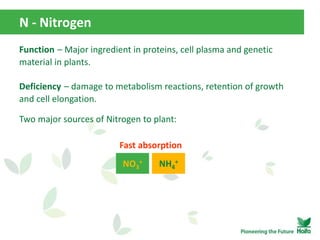 An introduction to professional plant nutrition | Haifa Group | PPTX