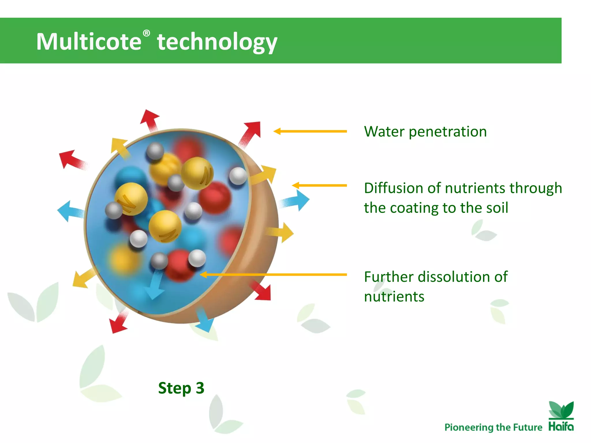 Controlled release fertilizers | Haifa Group | PDF