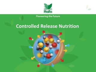 Controlled release fertilizers | Haifa Group | PDF