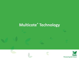 Controlled release fertilizers | Haifa Group | PDF