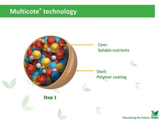 Controlled release fertilizers | Haifa Group | PDF