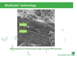 Controlled release fertilizers | Haifa Group | PDF