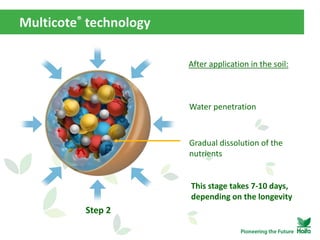 Controlled release fertilizers | Haifa Group | PDF