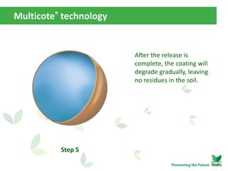 Controlled release fertilizers | Haifa Group | PDF