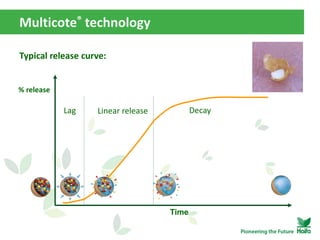 Controlled release fertilizers | Haifa Group | PDF