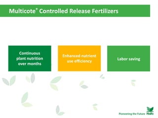 Controlled release fertilizers | Haifa Group | PDF