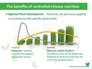 Controlled release fertilizers | Haifa Group | PDF