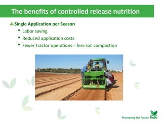 Controlled release fertilizers | Haifa Group | PDF