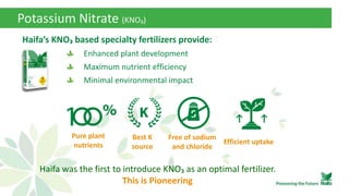 Haifa Group - Home of Innovation | PPTX