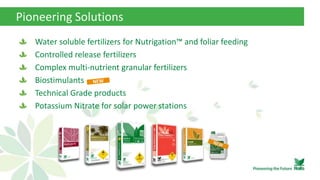 Haifa Group - Home of Innovation | PPTX