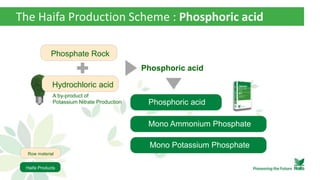 Haifa Group - Home of Innovation | PPTX