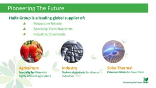 Haifa Group - Home of Innovation | PPTX