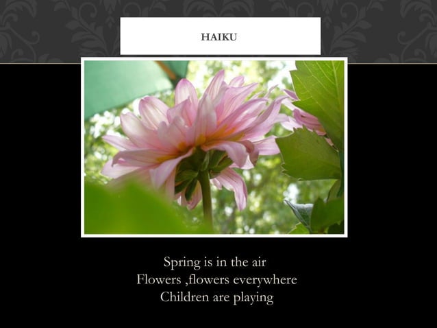 Haiku | PPT
