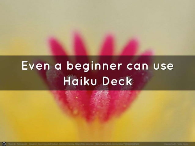 Haiku deck assignment for Technology Training | PPTX