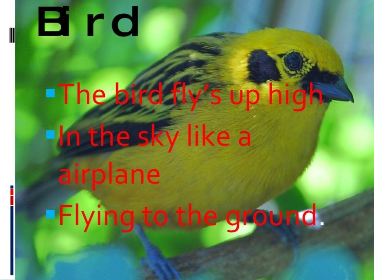 Haiku poem due thurs